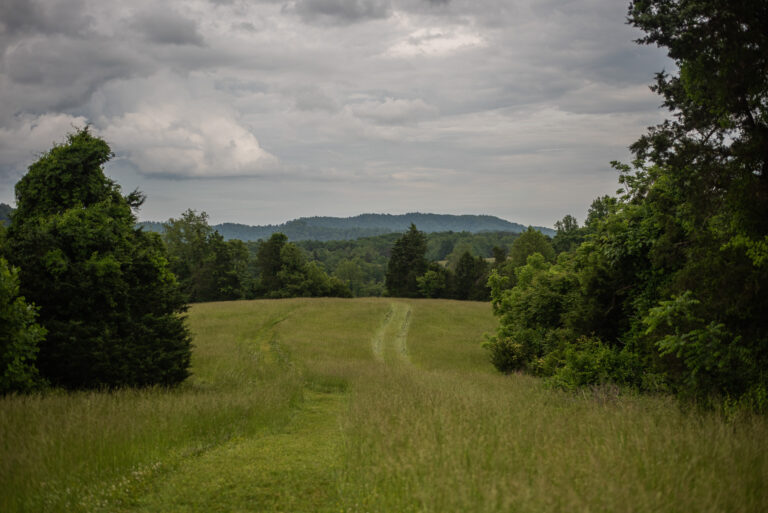 The Future Campus of St. Dunstan's Academy